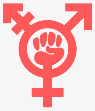 Anarchy Queer Revolution Lgbt Trans Transgender Pride - Feminism ...