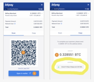 Bitcoinpaygate Payment Gateway Processor - Bitcoin Gold Coin Hd PNG ...