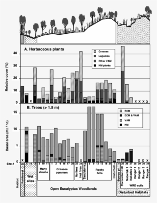 Herbaceous Vegetation Cover And Tree Basal Area (b) - Diagram PNG Image ...