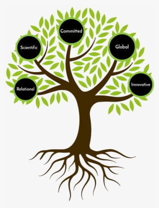 Our Values - Transparent Tree With Roots PNG Image | Transparent PNG ...