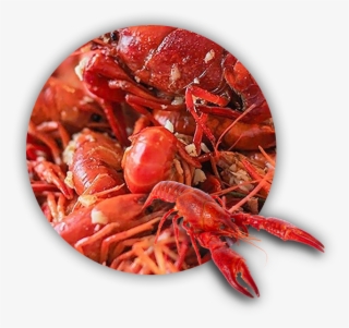 Crayfish PNG Images | PNG Cliparts Free Download on SeekPNG