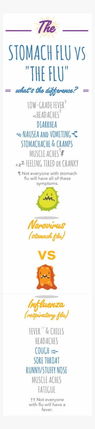 The Difference Between Stomach Flu And The Difference - Baby Stomach ...