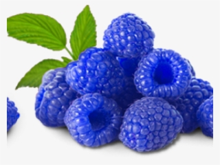 Raspberries Clipart Clip Art - Mr Salty Blue Razz Lemonade PNG Image ...