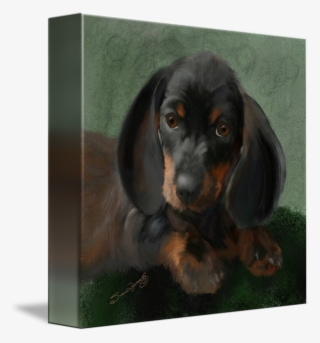 Transparent Puppy Dachshund - Weiner Dog Png PNG Image | Transparent ...
