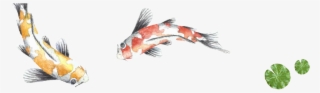 Menu - Goldfish PNG Image | Transparent PNG Free Download on SeekPNG