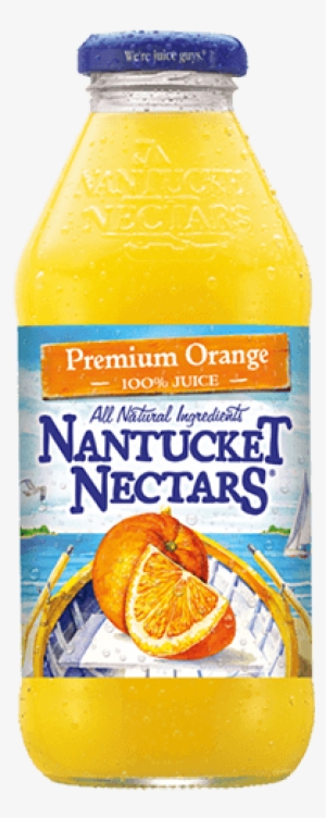 Nantucket Nectars Orange Juice - Nantucket Nectars Premium Orange, 16 ...