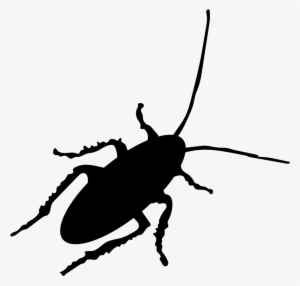 German Cockroach - Longhorn Beetle PNG Image | Transparent PNG Free ...