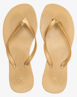 Gold Flip Flop - Flip-flops PNG Image | Transparent PNG Free Download ...