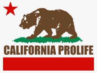 California Flag Png PNG Images | PNG Cliparts Free Download on SeekPNG