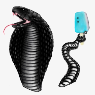 Pop King Cobra - Illustration PNG Image | Transparent PNG Free Download ...