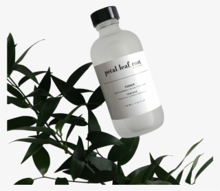 Petal, Leaf, Root - Plastic Bottle PNG Image | Transparent PNG Free ...