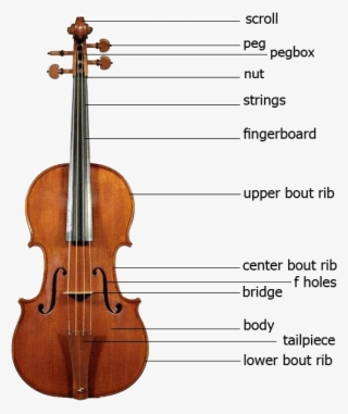 Viola Patrs - Parts Of Violin Png PNG Image | Transparent PNG Free ...
