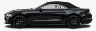 Drivers Side Profile, Convertible Top Up - 2019 Black Mustang ...