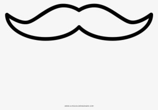 Bigote Página Para Colorear - Moustache PNG Image | Transparent PNG ...