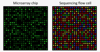 Microarray - Single Channel Microarray Chip PNG Image | Transparent PNG ...