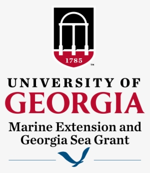 University Of Georgia Lapel Pin | Chrome PNG Image | Transparent PNG ...