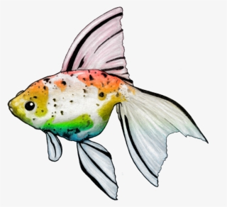 Rainbow Fish Detail - The Rainbow Fish PNG Image | Transparent PNG Free ...