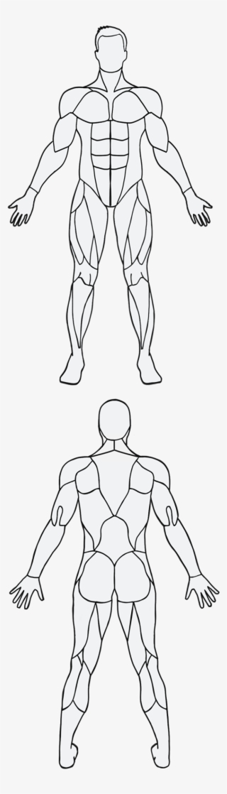 Understand Your Body, Simplify Your Workouts - Line Art PNG Image ...