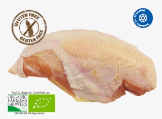 Cut - Chicken Breast Bone Png PNG Image | Transparent PNG Free Download ...
