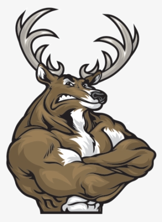 Cartoon Muscle Deer PNG Image | Transparent PNG Free Download on SeekPNG