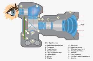 Dslr Camera Parts - Working Of A Camera PNG Image | Transparent PNG ...