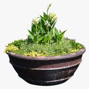 Background Png Hedges Hd Transparent - Transparent Background Hedges ...