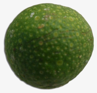 Image Description - Key Lime PNG Image | Transparent PNG Free Download ...