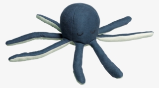 Tangle-web Spider PNG Image | Transparent PNG Free Download on SeekPNG