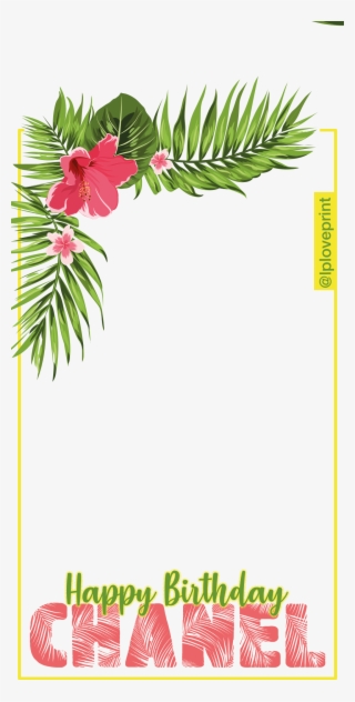 Snapchat Filters - Tropical Border Corner Png PNG Image | Transparent ...