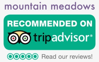 How Did You Find Us - Poster PNG Image | Transparent PNG Free Download ...