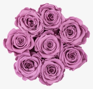 Mauve, Rose, With, White, Flowers - Mauve Flowers PNG Image ...