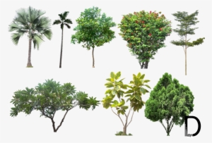 Tree Png File Hd - Trees Landscape Psd PNG Image | Transparent PNG Free ...