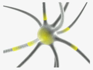 Brain Synapses Png PNG Image | Transparent PNG Free Download on SeekPNG