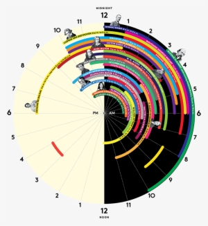 This Graphic Uses Data From A Book Entitled Daily Rituals - Best ...