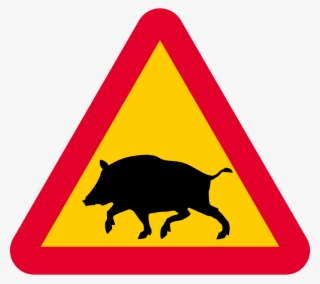 This Png File Is About Boar , A19 7 , Warning , Boars - Cross Road ...