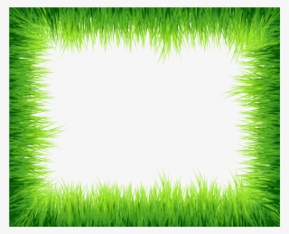 Download Clip Art - Grass Border Vector Png PNG Image | Transparent PNG ...