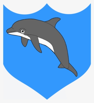Go To Image - Wholphin PNG Image | Transparent PNG Free Download on SeekPNG