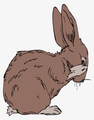 Jack Rabbit Clipart Black And White - Jackrabbit Clipart PNG Image ...