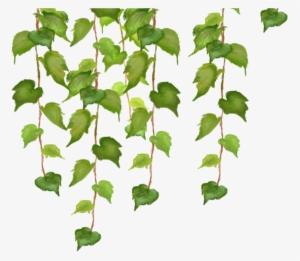 Fullscreen - Tree PNG Image | Transparent PNG Free Download on SeekPNG