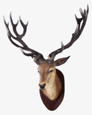 Deer Png Images Transparent Free Download - Deer Head No Background PNG ...