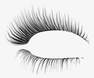 Transparent Background Lashes Png Clip Transparent - Eyelashes ...