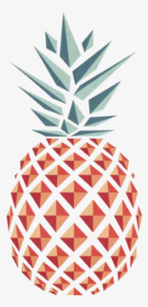Pineapple Drawing PNG Image | Transparent PNG Free Download on SeekPNG