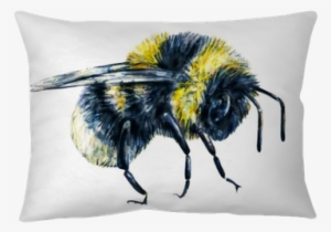 Bumblebee Isolated On A White Background - Bumblebee Drawing PNG Image ...