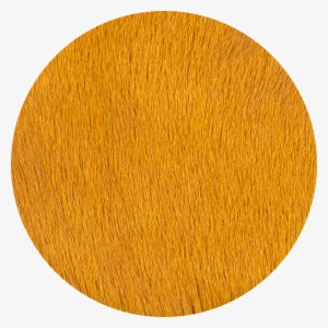 Mustard - Circle PNG Image | Transparent PNG Free Download on SeekPNG
