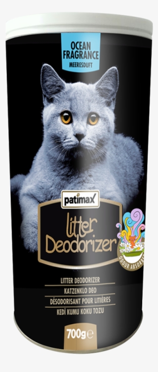 Patimax PNG Image | Transparent PNG Free Download on SeekPNG