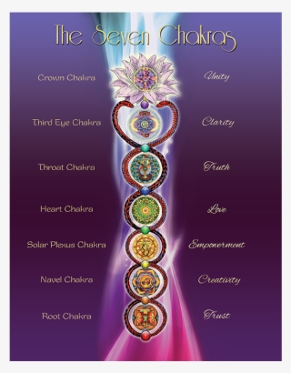Seven Chakra Reference Chart Front - Banner PNG Image | Transparent PNG ...