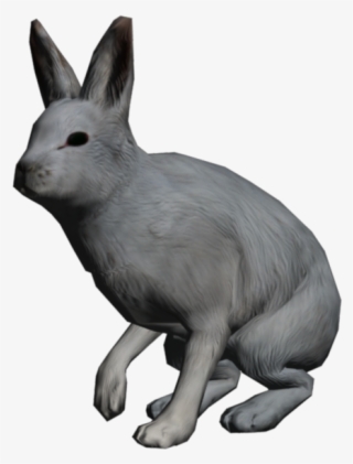 Arctic Rabbit Clipart Arctic Hare Snowshoe Hare Clip - Arctic Hare ...