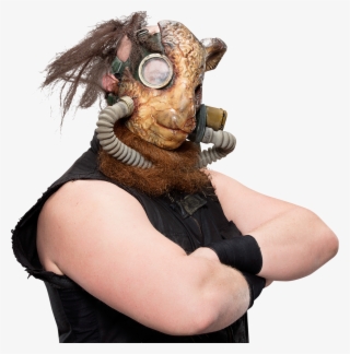 Erick Rowan New - Mask PNG Image | Transparent PNG Free Download on SeekPNG