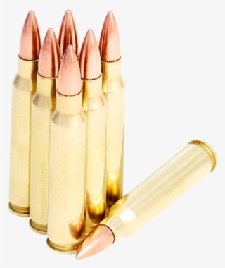 223 Remington 60 Gr Tracer New - Flame PNG Image | Transparent PNG Free ...