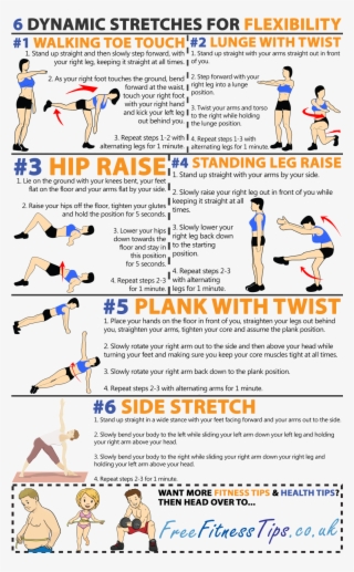 6 Dynamic Stretches For Flexibility Infographic - Dynamic Stretching ...